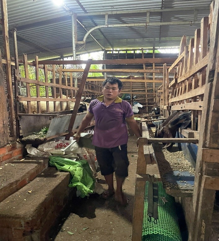 SỬ DỤNG HIỆU QUẢ NGUỒN VỐN VAY TỪ NGÂN HÀNG CHÍNH SÁCH XÃ HỘI CƯ KUIN